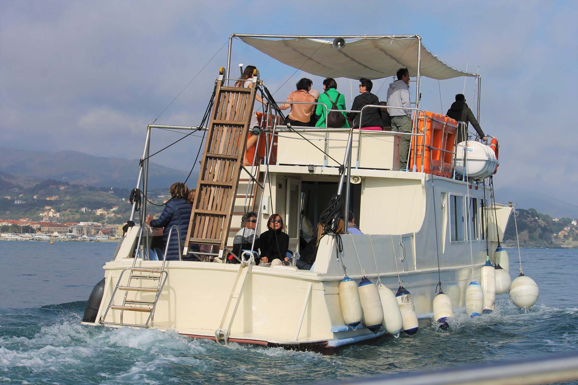 Avvistamento Cetacei » BMC Sea Tours